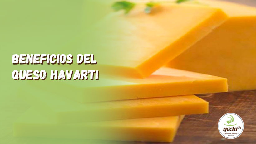 ¿Cuáles son los beneficios del queso Havarti? - Yecla33